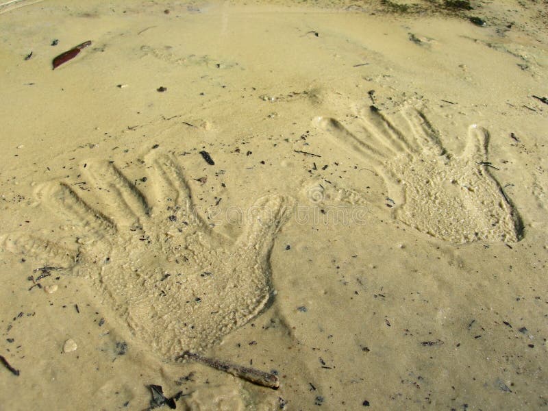 Prints In The Sand Picture. Image: 708815