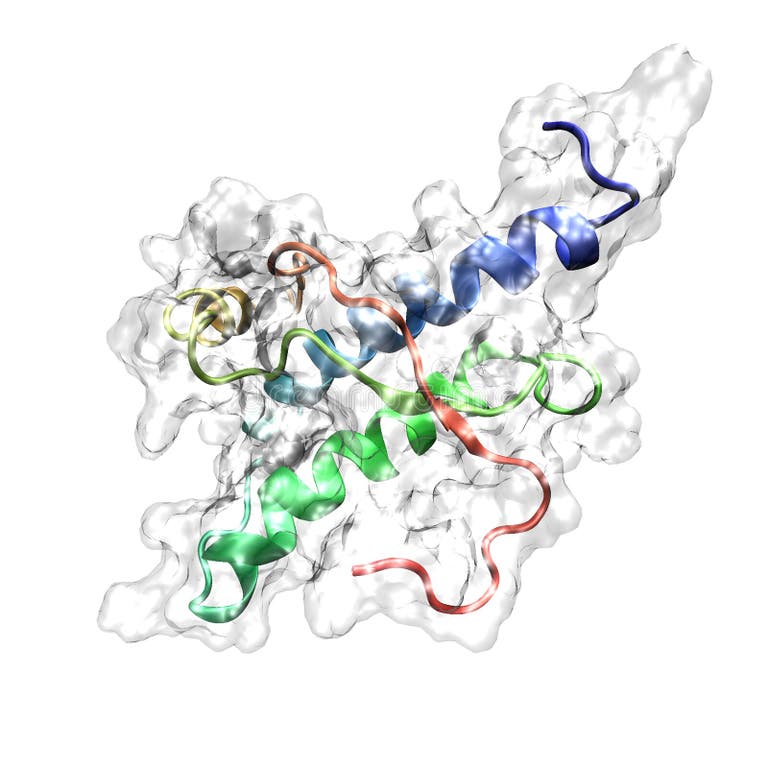 Protein Helix Stock Illustrations – 5,281 Protein Helix Stock ...