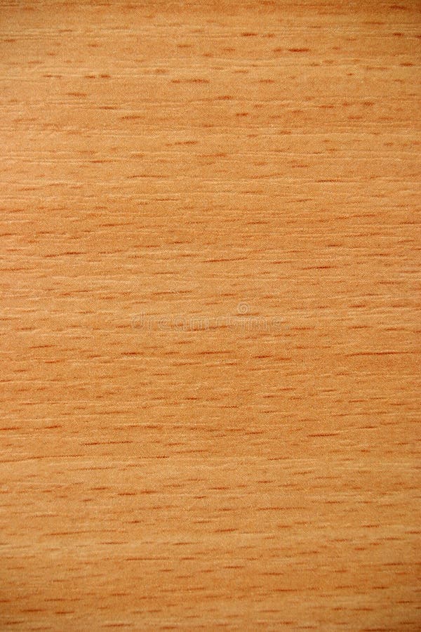 Priorità bassa di legno immagine stock. Immagine di disegno - 13581089