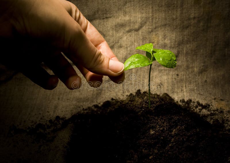 Prise De Contact Avec La Nature Photo stock - Image du ambiant ...
