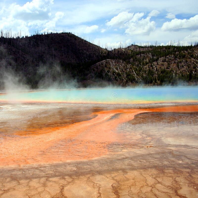 Grand Prismatic Pool Yellowstone National Park Stock Photo - Image of ...