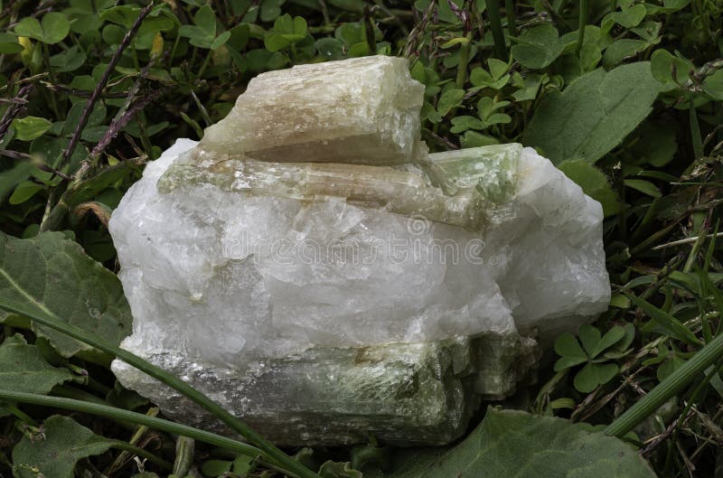 Prismatic Tourmaline Crystal Embedded in a Quartz Matrix, Showcased in ...