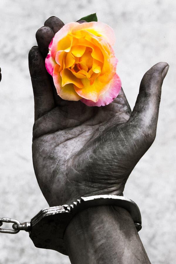 Prison Drawings Roses