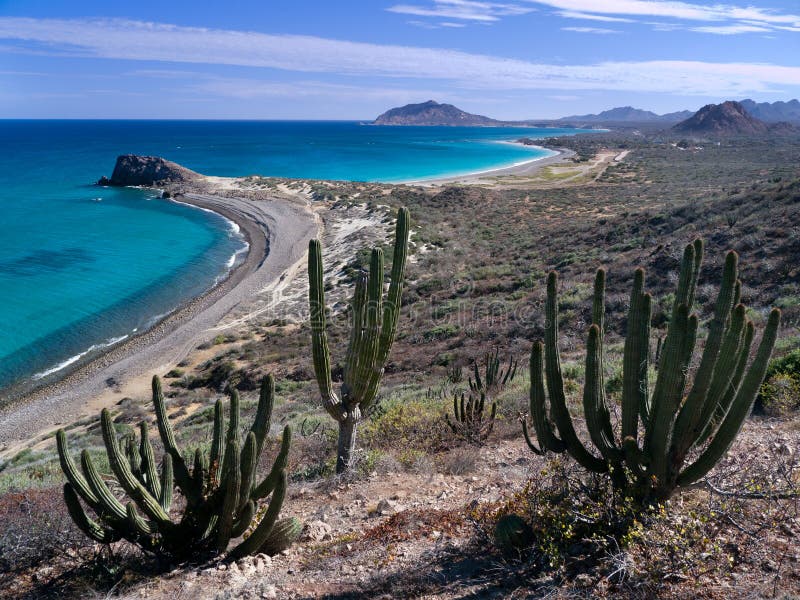 Pristine Beach, Blue Sea, Baja California Stock Image - Image of ...