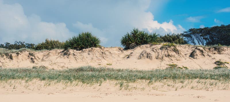 Pristine Beach on Moreton Island. Stock Photo - Image of moreton ...