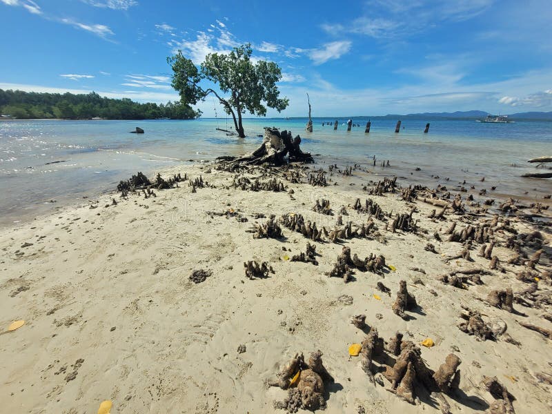 Pristine Beach in Puerto Princesa on Palawan Island Stock Photo - Image ...