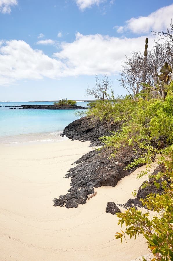 Pristine Beach on an Uninhabited Island, Galapagos Islands, Ecuador ...