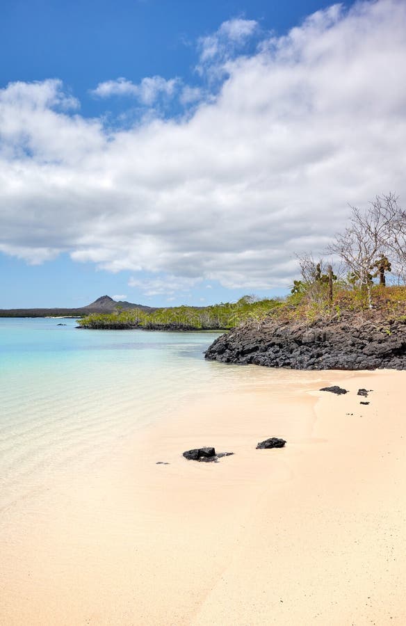 Pristine Beach on an Uninhabited Island, Galapagos Islands, Ecuador ...