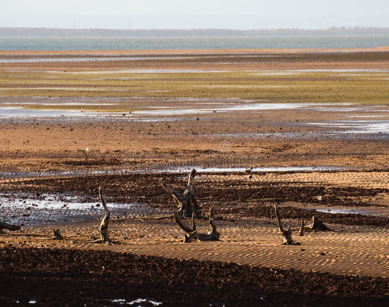 Pristine Beach at Wellington Point, Brisbane Stock Photo - Image of ...