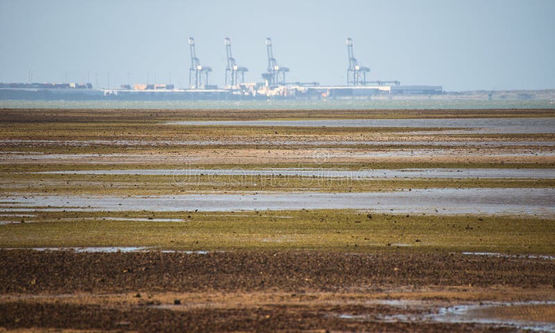 Pristine Beach at Wellington Point, Brisbane Stock Photo - Image of ...