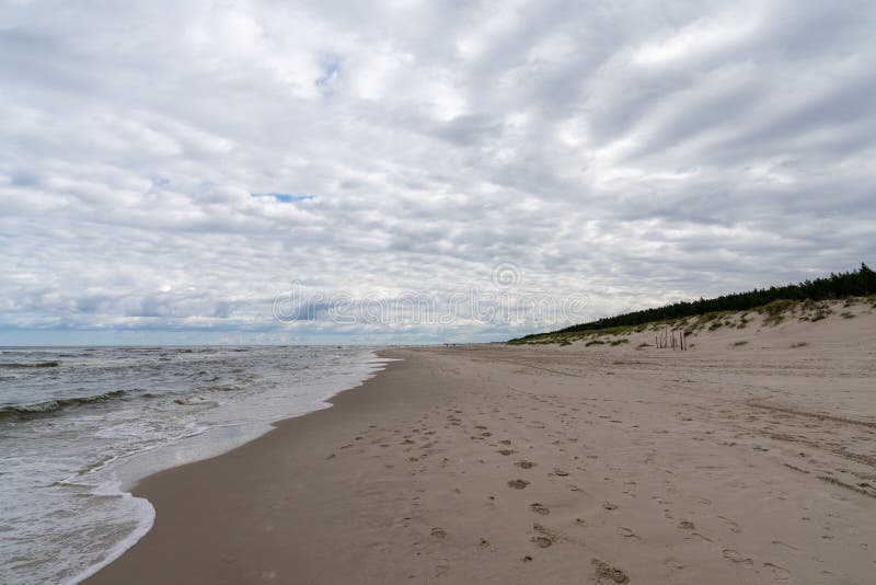 Pristine Empty Sand Beaches with Forest and Sand Dunes on the Shore ...