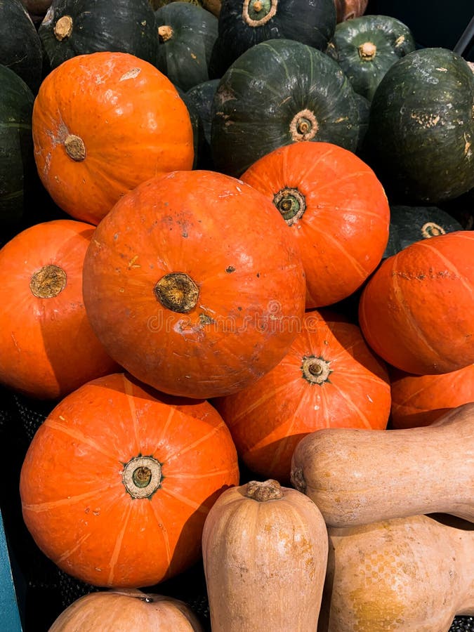 Bright Vibrant Pumpkin Display Supermarket Store Stock Photos - Free ...