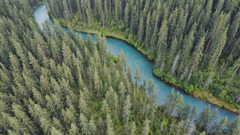 Pristine Forest River stock photo. Image of wilderness - 376854720
