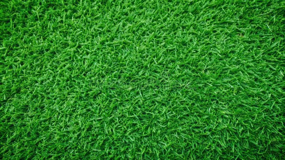Pristine Green Lawn Texture a HighDefinition Background for Sports ...