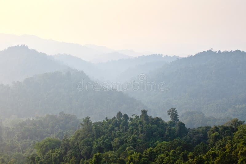 Pristine Jungle View with Fading Mountains in Background Stock Image ...