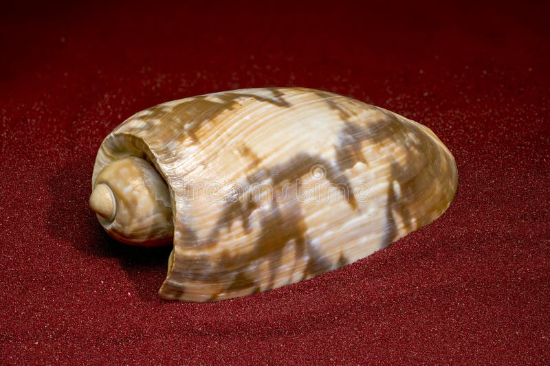 4,131 Vibrant Red Sandy Surface Stock Photos - Free & Royalty-Free ...