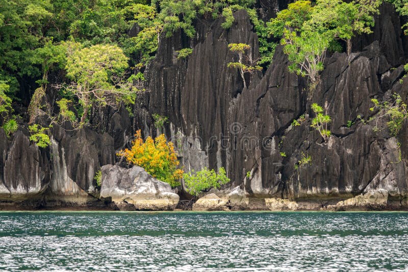 Pristine Water at Coron, Palawan, Surrounded by Limestone Cliffs Stock ...