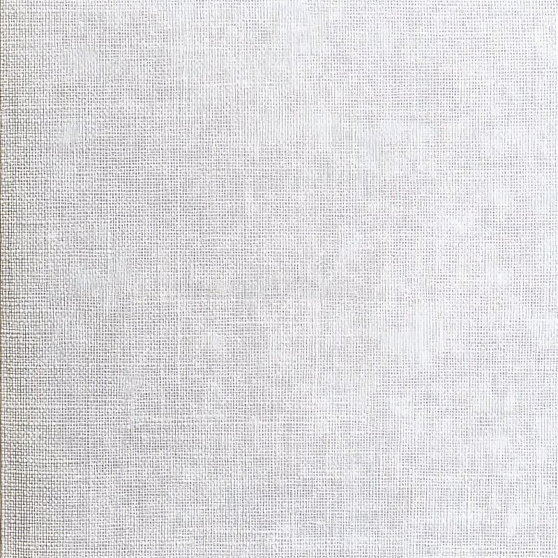 Pristine White Linen Canvas Smooth and Even Texture in Neutral Light ...