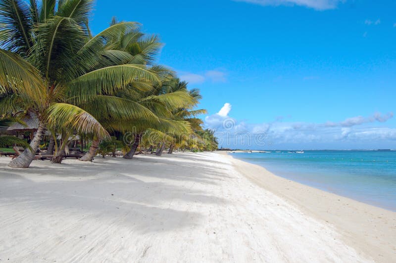 Pristine White Sandy Beach on Mauritius West Coast Stock Photo - Image ...