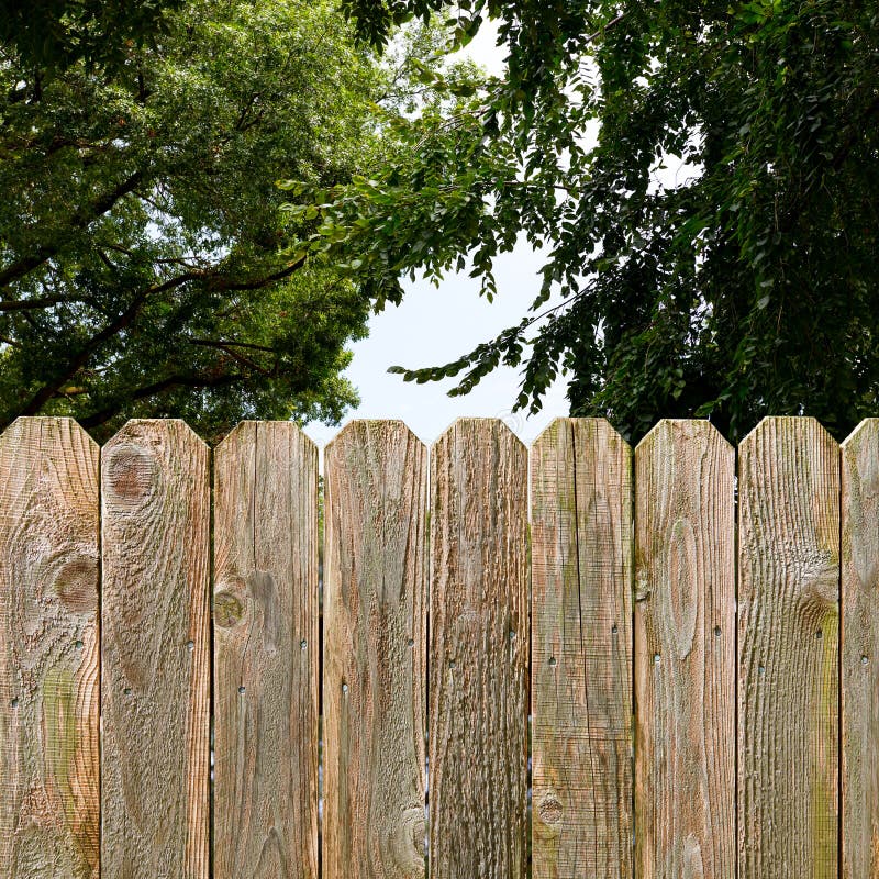 Green Shade Trees Behind a Tall Rustic Wood Privacy Fence Stock Photo ...