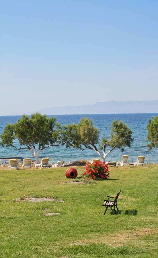 Private beach stock image. Image of olive, sunbeds, private - 20554267