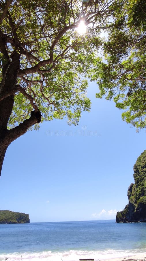 Private Beach with View of Cliff, Trees and Sunshine Over Me Stock ...