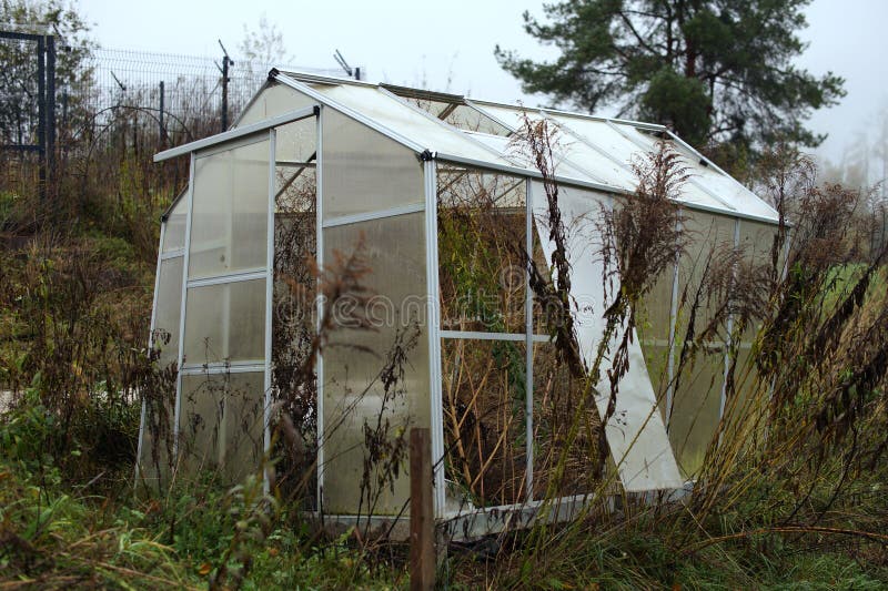 Private Garden Greenhouse Ravaged by Climate Change Storm Stock Image ...