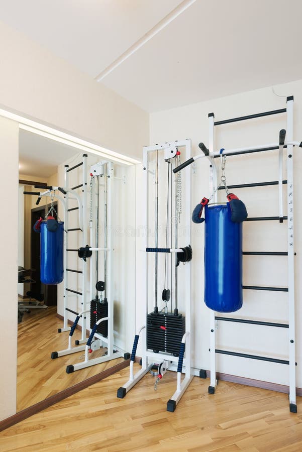 Private gym at home stock photo. Image of home, treadmill - 54556568