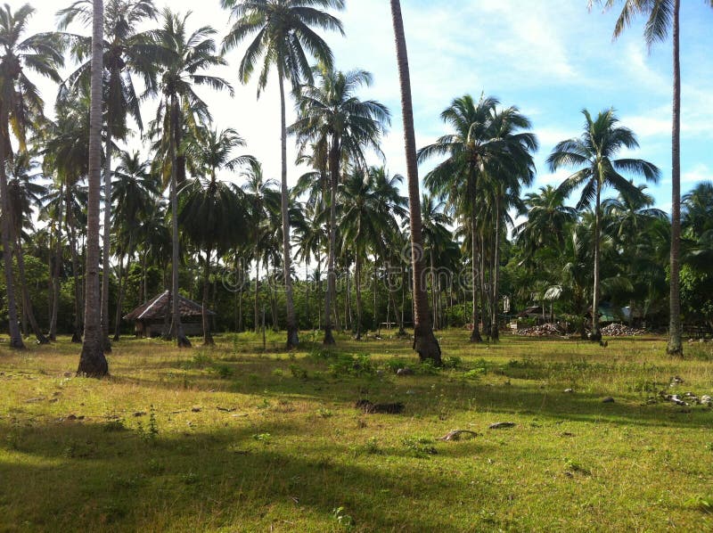 Private House on Remote Beach Stock Photo - Image of dirty, basic: 83294354