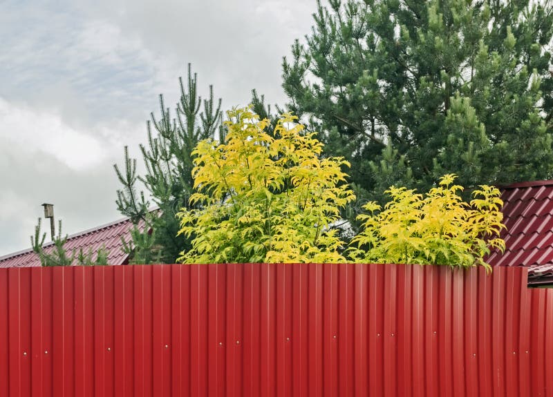 Private land behind fence stock image. Image of neighborhood - 74911161