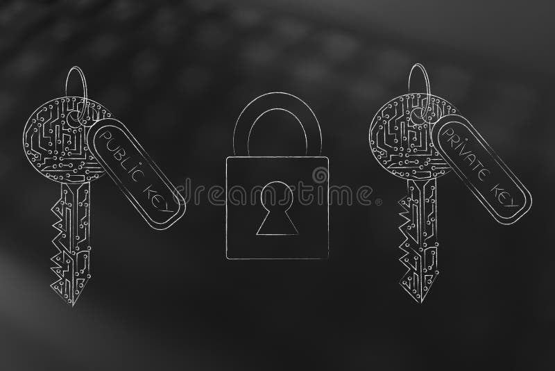 Private and Public Encryption Keys Next To Safelock Stock Illustration ...