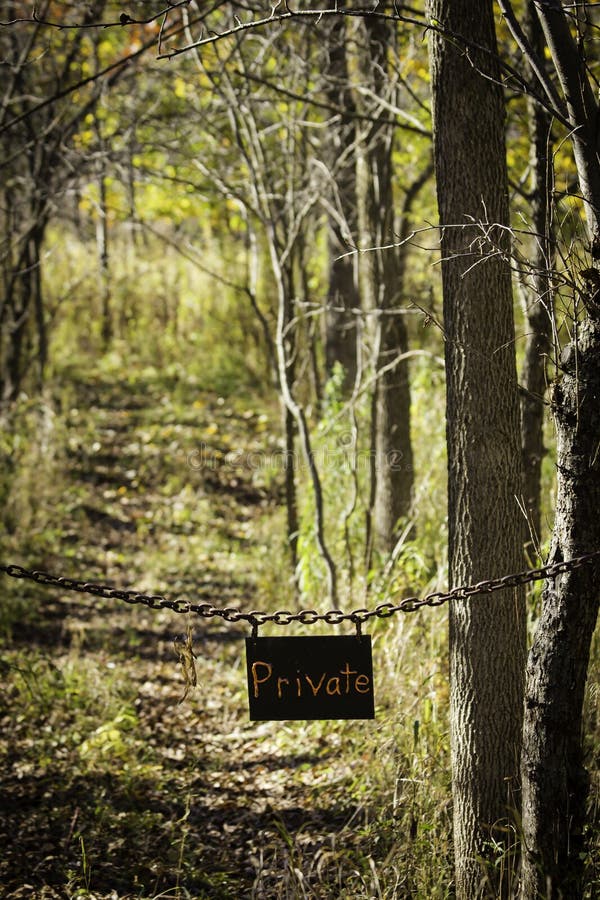 Private Trail stock photo. Image of trees, sunshine, security - 46031394
