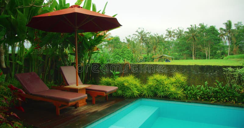Private Tropical Villa Poolside with Forest View and Lounge Chairs in ...