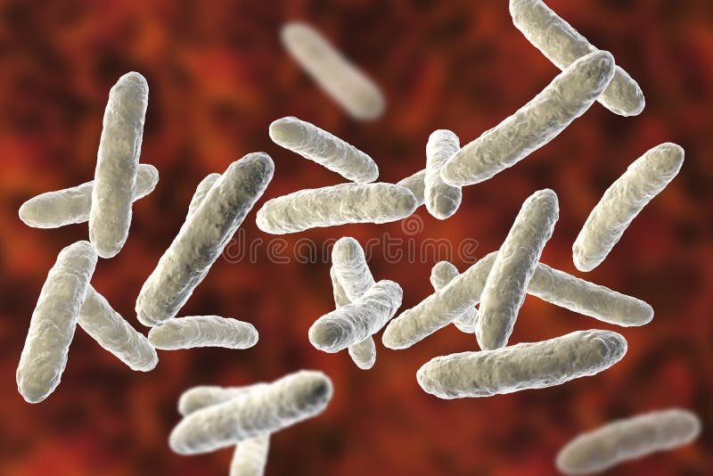 Probiotic Bacteria, Normal Intestinal Microflora Stock Illustration ...