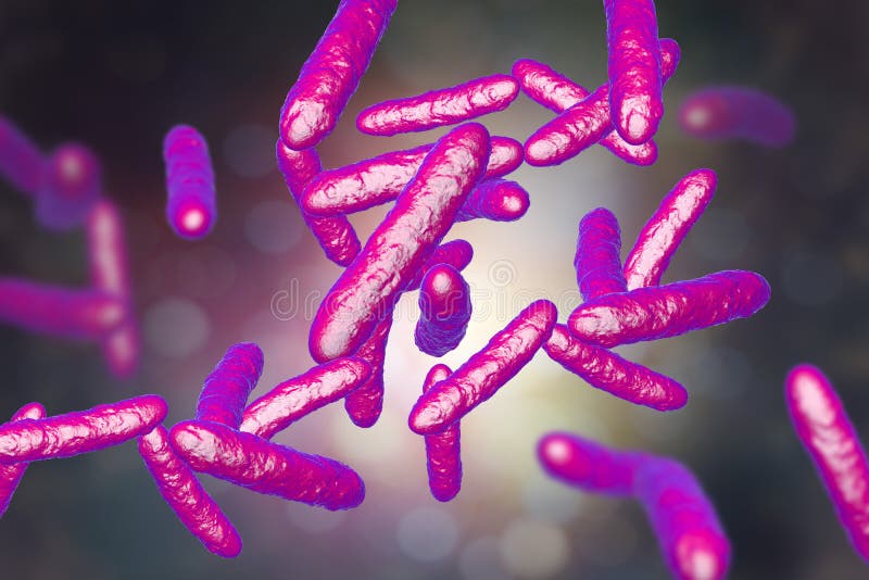Probiotic Bacteria, Normal Intestinal Microflora Stock Illustration ...