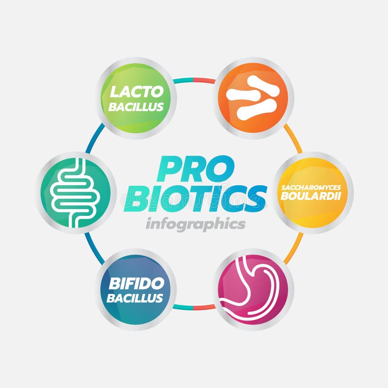 Probiotic Foods Good Bacteria Vector Illustration Stock Vector