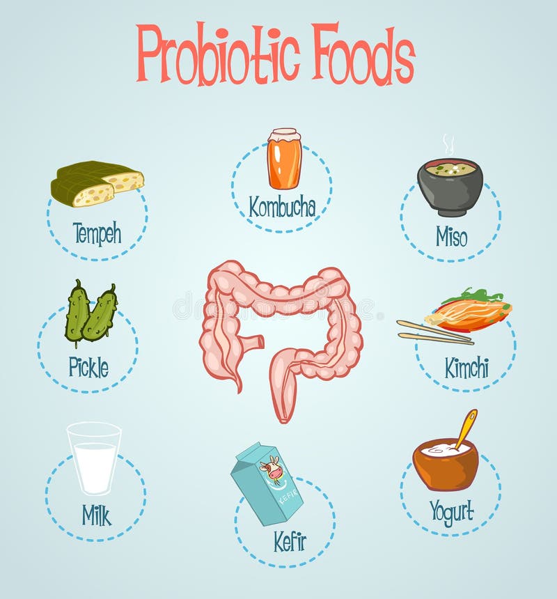 List Of Probiotic Foods