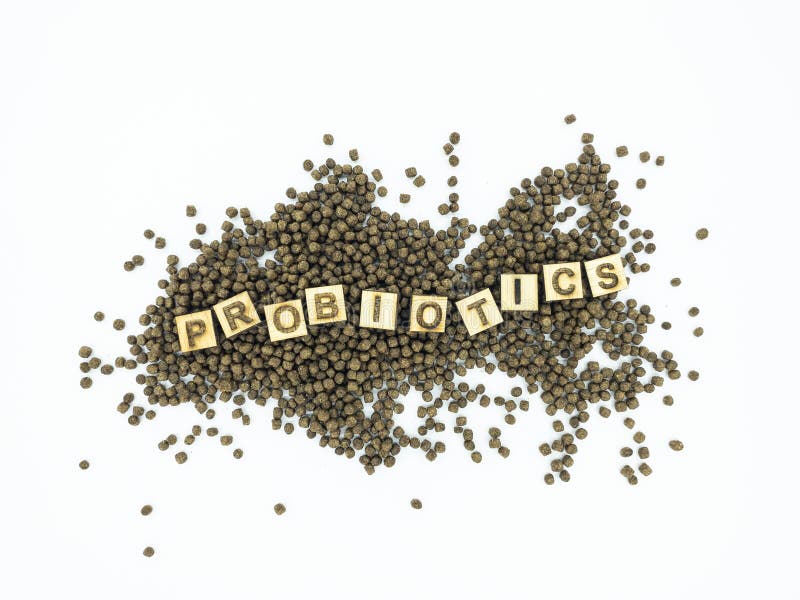 Probiotics in Aquaculture, Fish and Shrimp Production Stock Image ...