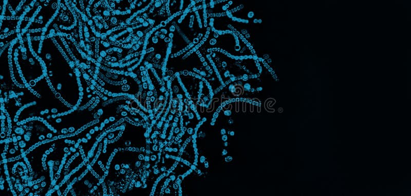 Probiotics, Lactic Acid Bacteria. Bacteria and Microorganisms Stock ...