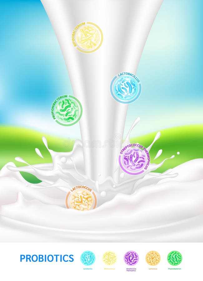 Probiotics Lactic Acid Bacterium in Milk Stock Vector - Illustration of ...