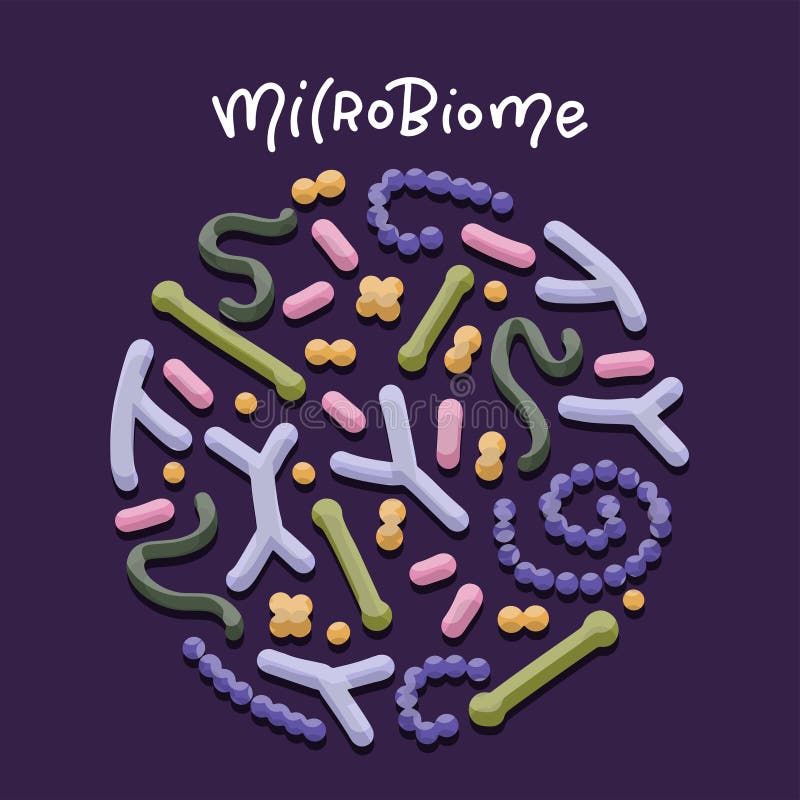 Lactococcus. Probiotics. Lactic Acid Bacteria. Good Bacteria and ...