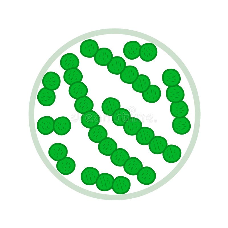 Good Bacteria Sign Stock Illustrations – 781 Good Bacteria Sign Stock ...