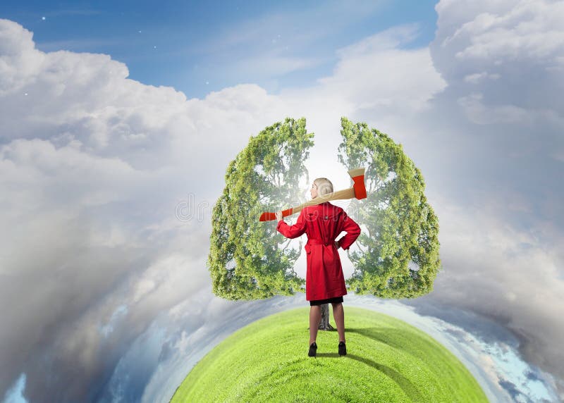 Problem of deforestation! stock photo. Image of ecological - 50230864