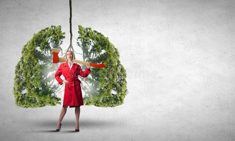 Problem of deforestation! stock photo. Image of deforestation - 50513366