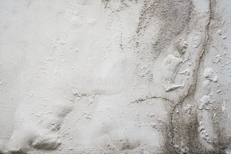 Problem of Moisture Damage Acrylic White Painting Crack Surface Texture ...