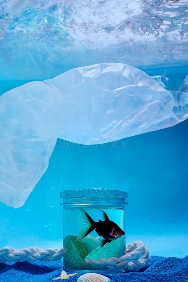 2,953 Ocean Pollution Fish Plastic Waste Stock Photos - Free & Royalty ...