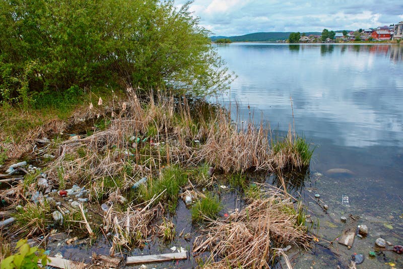 Garbage on the Shoreline stock photo. Image of pollution - 21383724