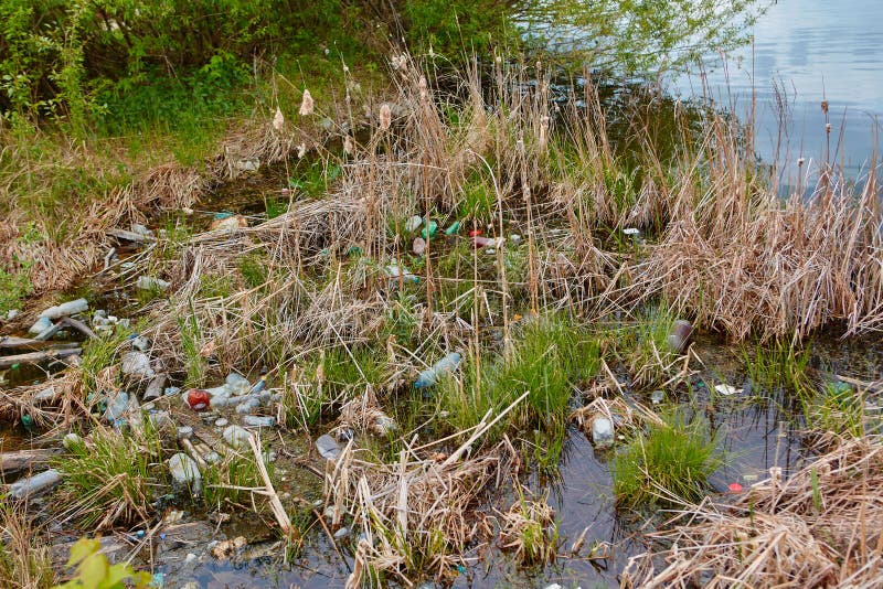 The Problem of Pollution and Ecology of Reservoirs. Garbage on the ...