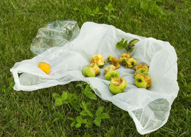 ..the Problem with Pollution. Package Lies on the Green Grass Stock ...