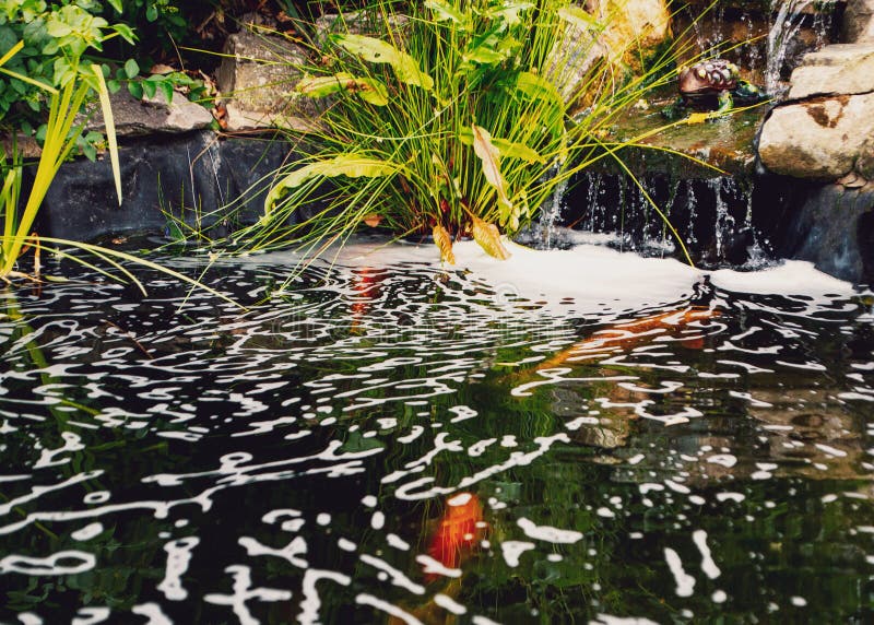 Problem Pond Foam Forming at the Base of a Water Fall in a Koi Fish ...